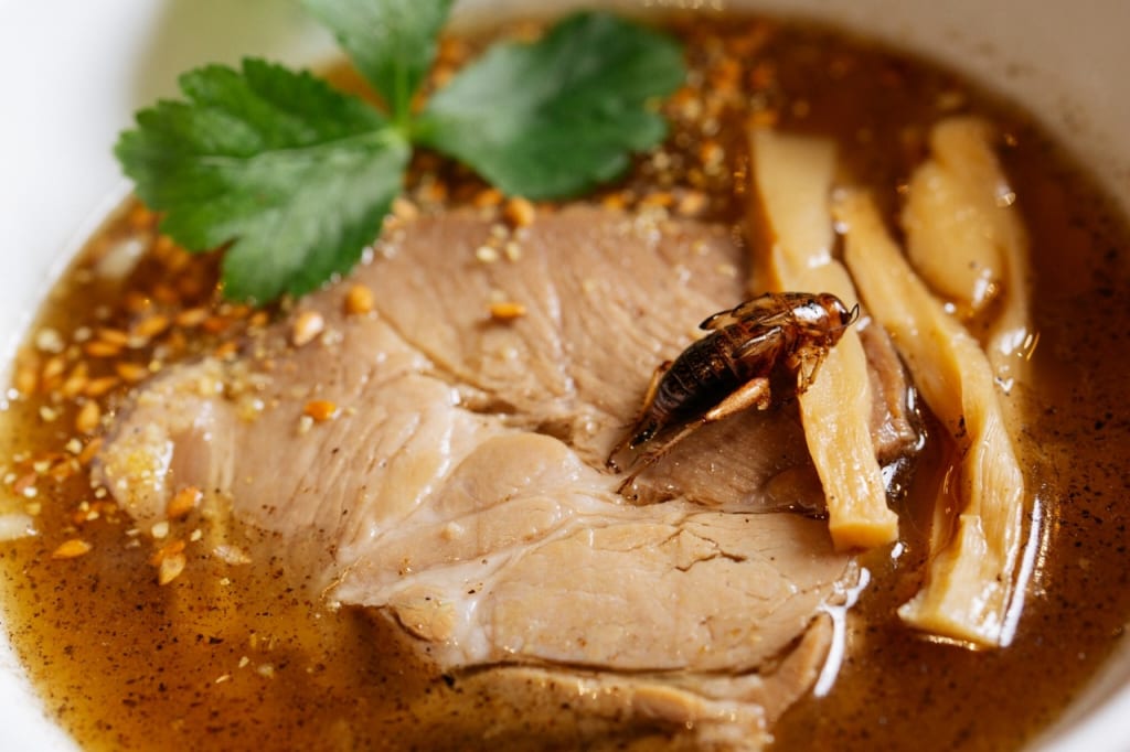 コオロギラーメンが大阪に上陸！昆虫食「ANTCICADA」が期間限定オープン | novice